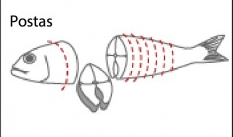 Carnes, Cervejas e Metal: Corte para Peixes