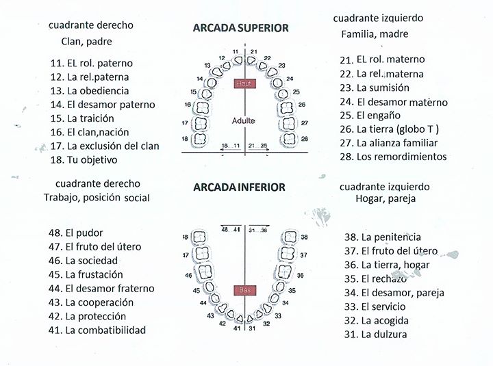 Dientes - BIO | crisol-life.com