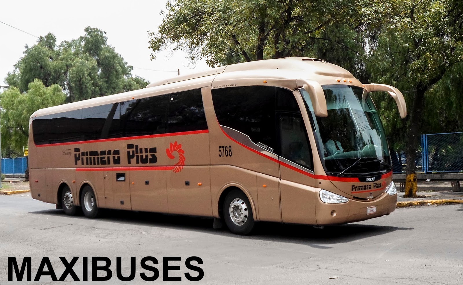 MAXIBUSES: PRIMERA PLUS