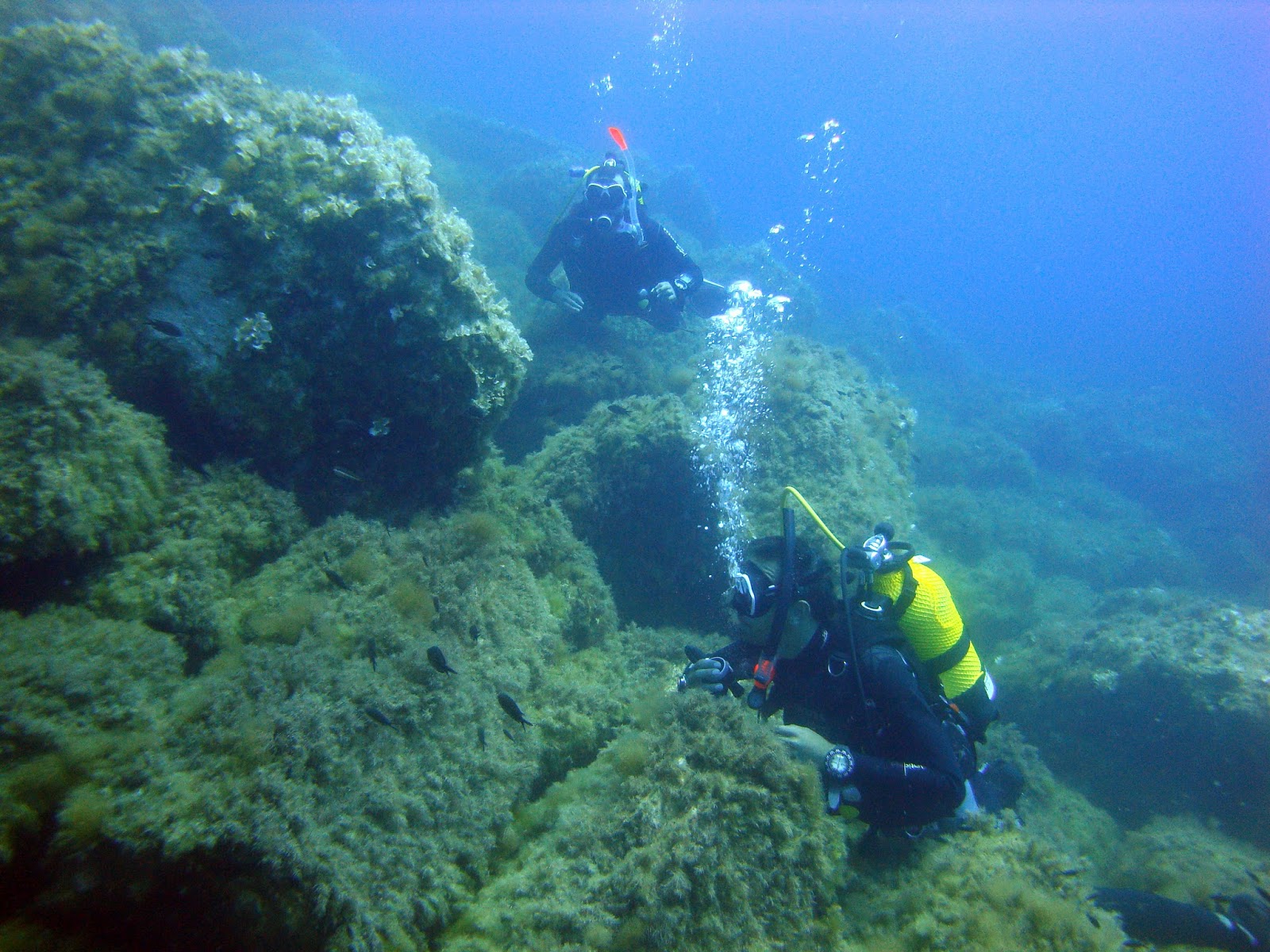 Scuba Plus Centro de buceo en Menorca: Inmersiones Menorca