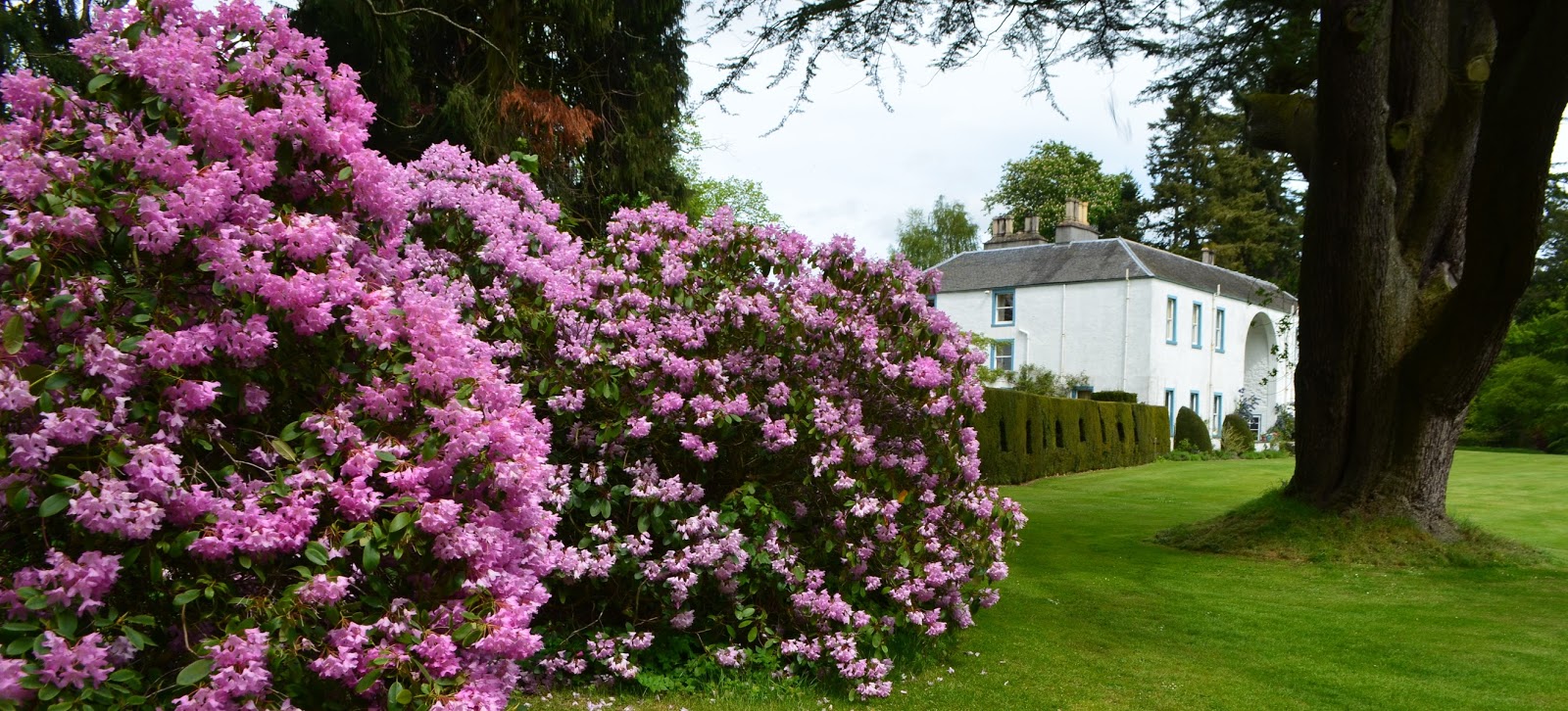 Tour Scotland: Tour Scotland Photograph Video Rossie House Garden ...