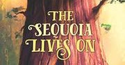The Nonfiction Detectives: The Sequoia Lives On By Joanna Cooke