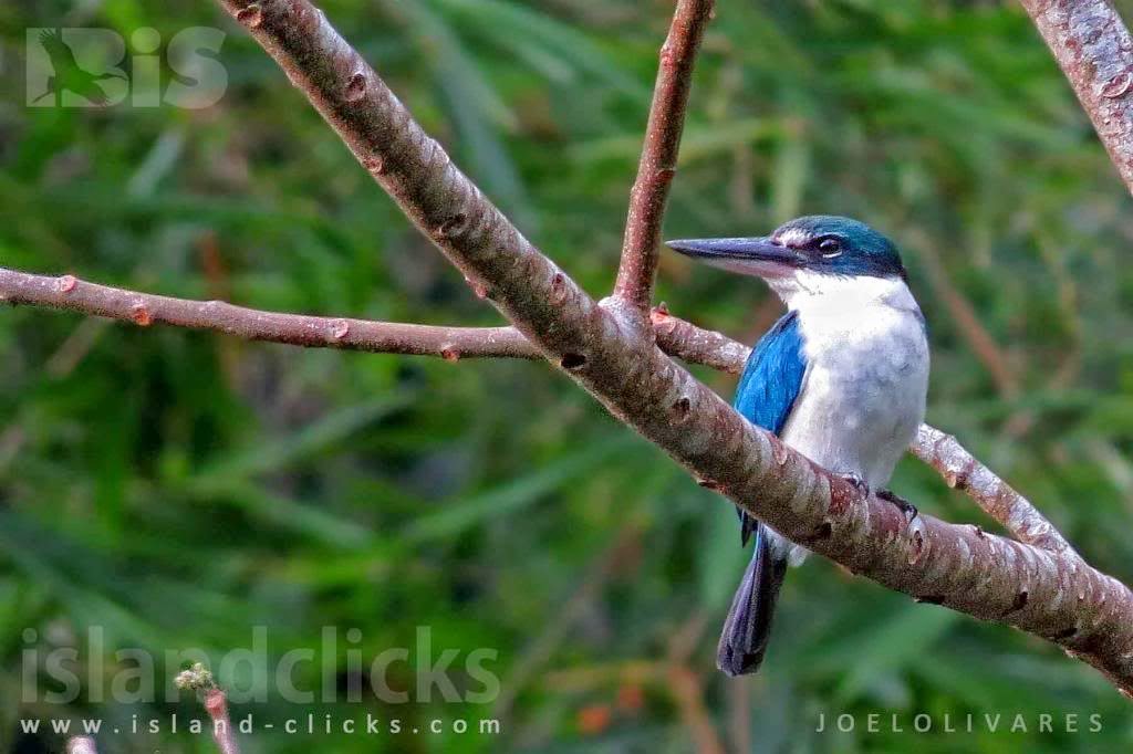Environmental Engineering: Buguey Wetlands, Cagayan Province