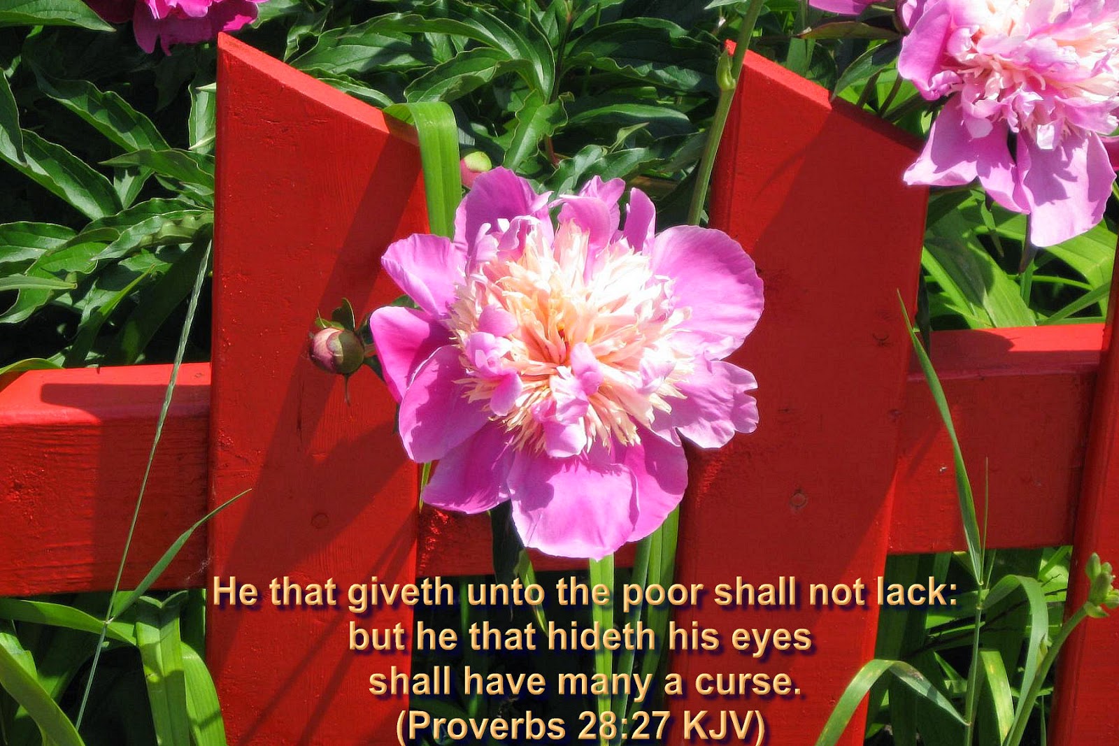 Prayer Pointers: Proverbs 28:27 - Heart of giving