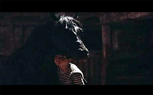 O Corcel Negro - The Black Stallion | ScreenShots Movies