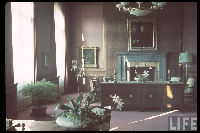 Inside Hitler's Private World: Rarely Seen Color Photos Reveal Lavish ...