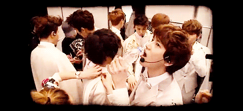 SUPER JUNIOR ELF: GIF Folder
