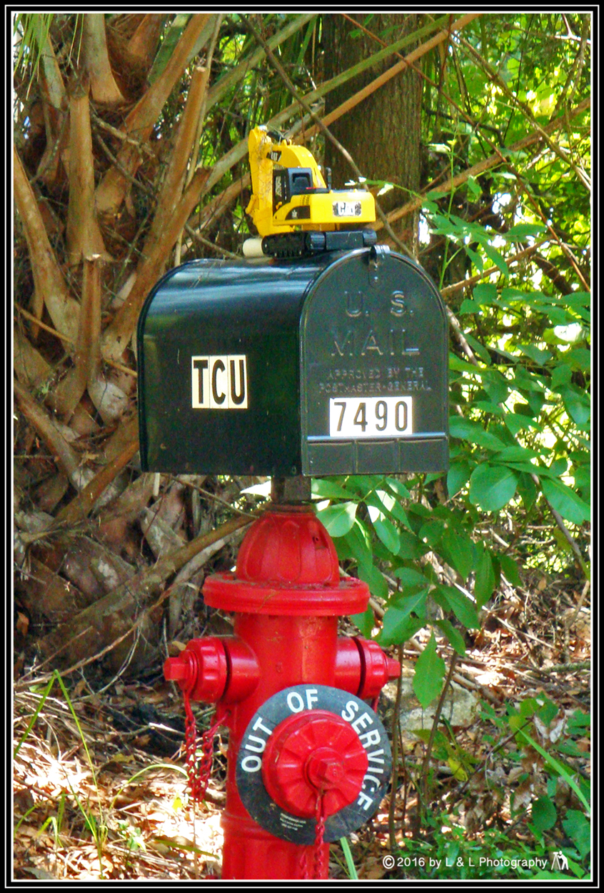 Ocala, Central Florida & Beyond: Fireplug Mailbox