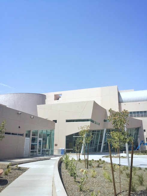 Research and Ramblings