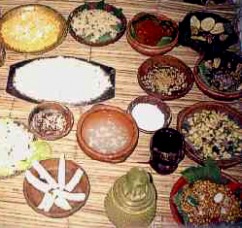 Não existe sacrifício de animais nos rituais do Candomblé