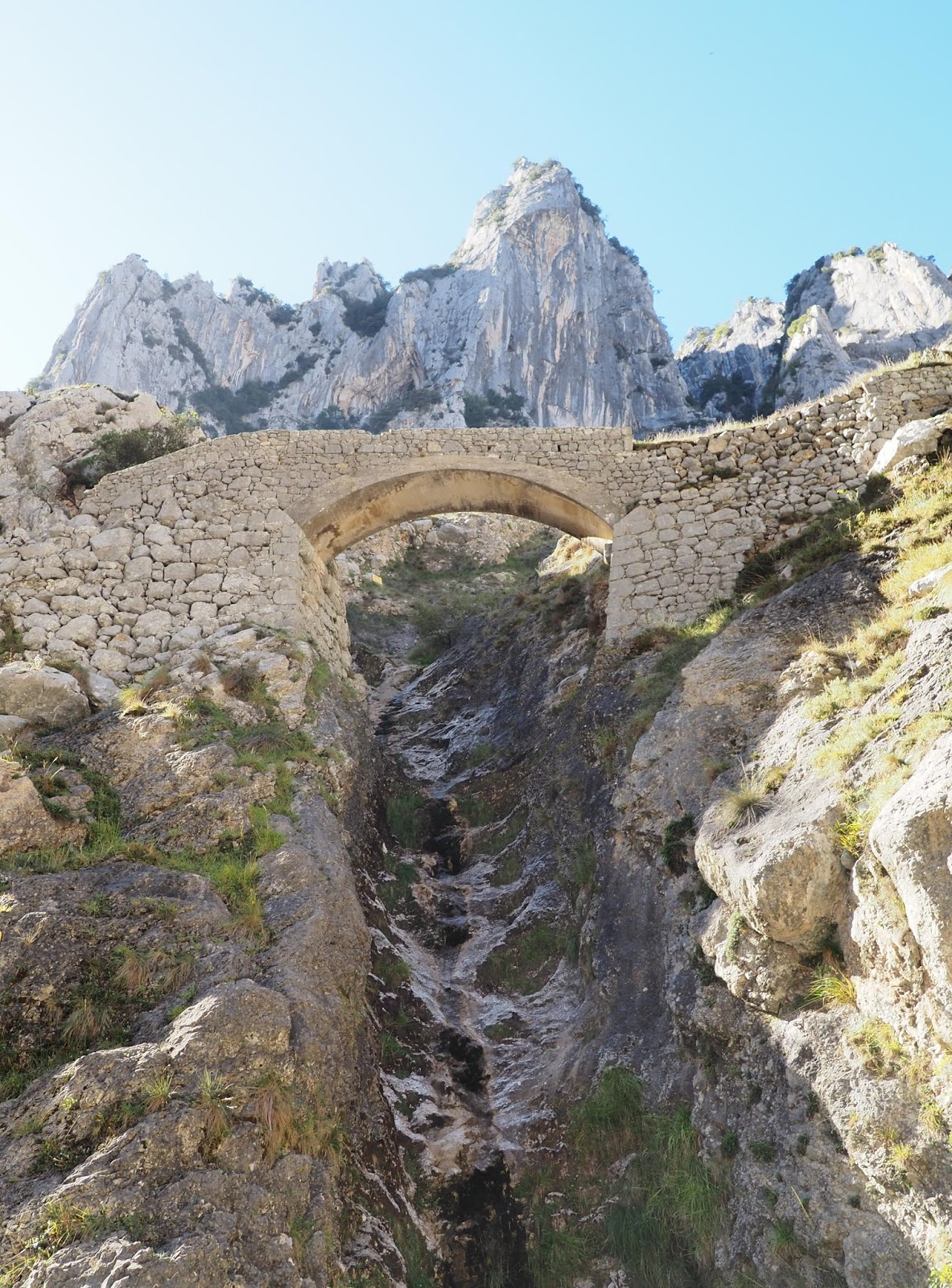 EL MOCHUELO CURIOSO: Ruta SUBIDA A BULNES - PICOS DE EUROPA.