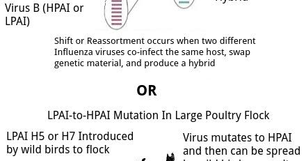 Avian Flu Diary: Taiwan Reports 1st Avian H5N5 Virus In Ducks
