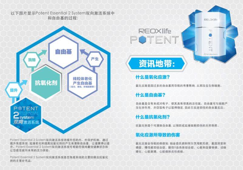 REDOXY RETURN LEGACY: POTENT ESSENTIAL 2 SYSTEM 双向激活系统