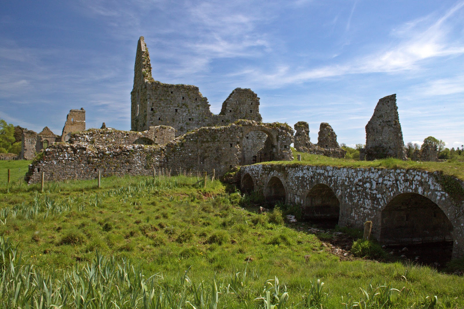 Historic Sites of Ireland: Athassel Abbey