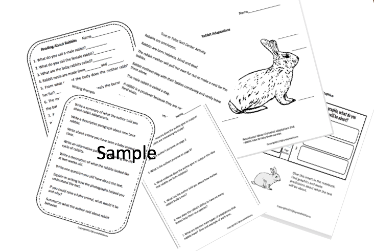 Rabbit Life Cycle Close Reading of Nonfiction with Interactive Notebook ...