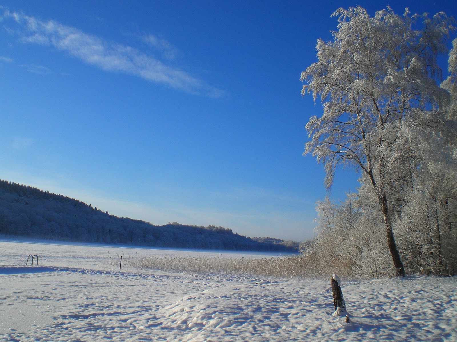 Loa: kalt kalt kalt och schön schön schön am sjön