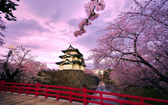 Every Day Is Special: April 29 – Shōwa Day in Japan
