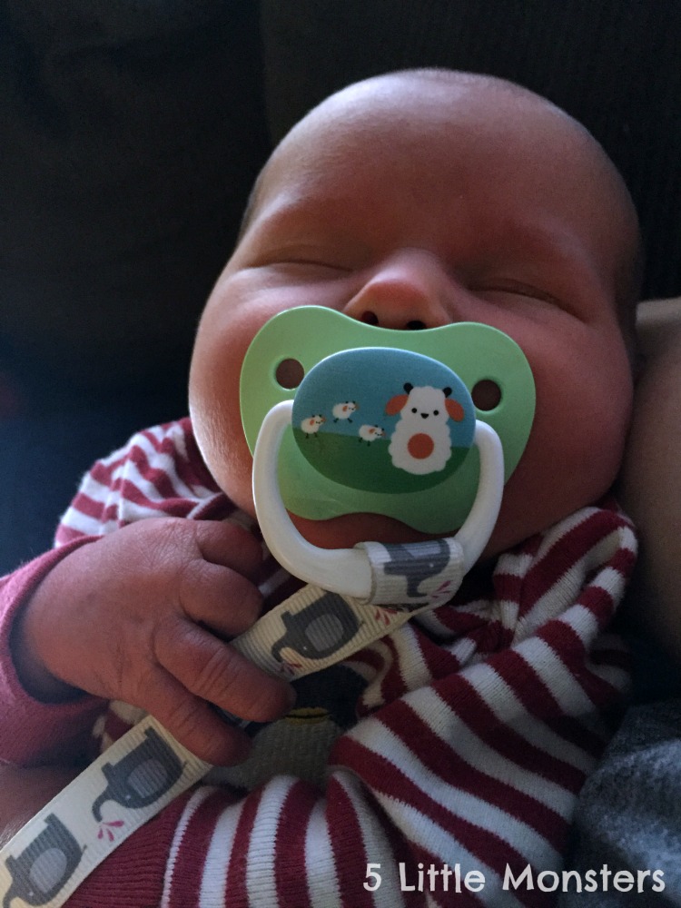 5 Little Monsters: Universal Pacifier Clip