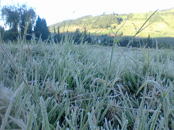 Menikmati Pesona Embun Salju di Dieng ~ Samudra Biru