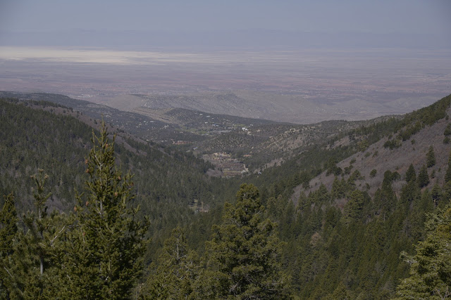 Turkey Tales and Frog Fables: To Cloudcroft, the National Solar ...