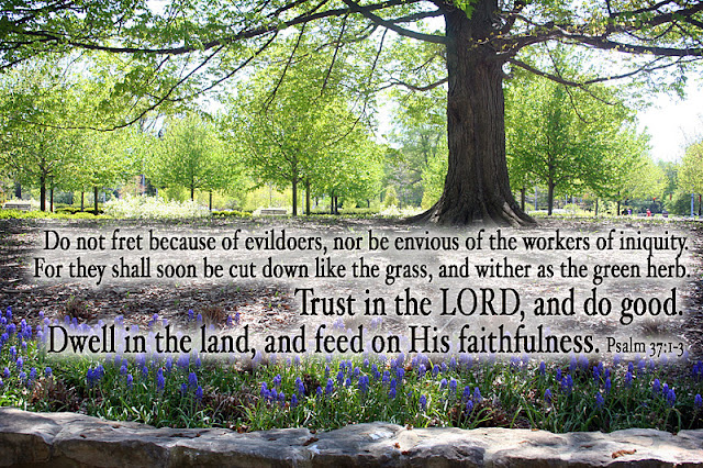 Psalm 37:1-3 | Psalms, Psalm 37, Holy scriptures