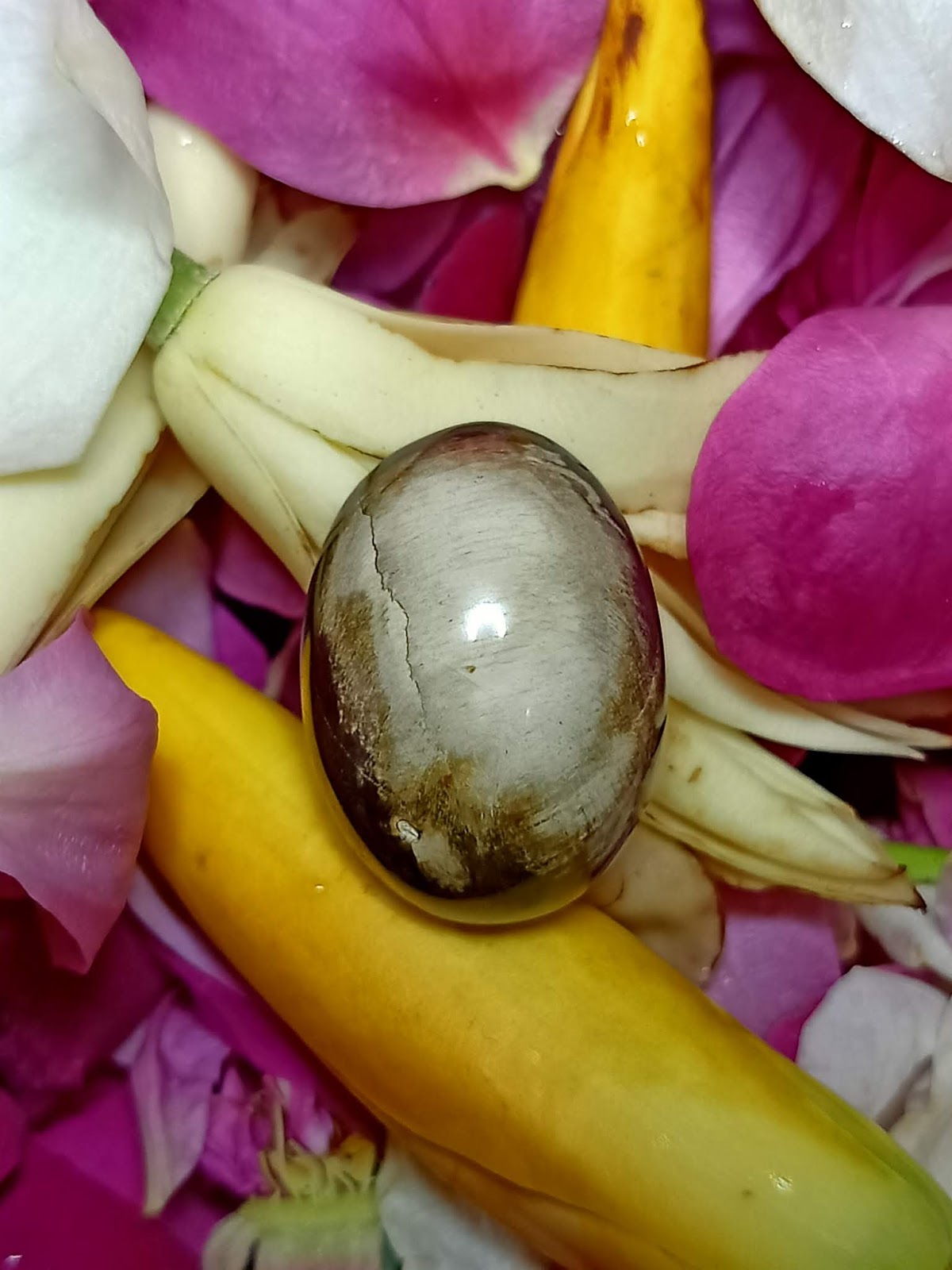 MUSTIKA JIN BUSUK KELAMIN ~ Jimat Azimat | Batu Mustika Geliga | Keris ...