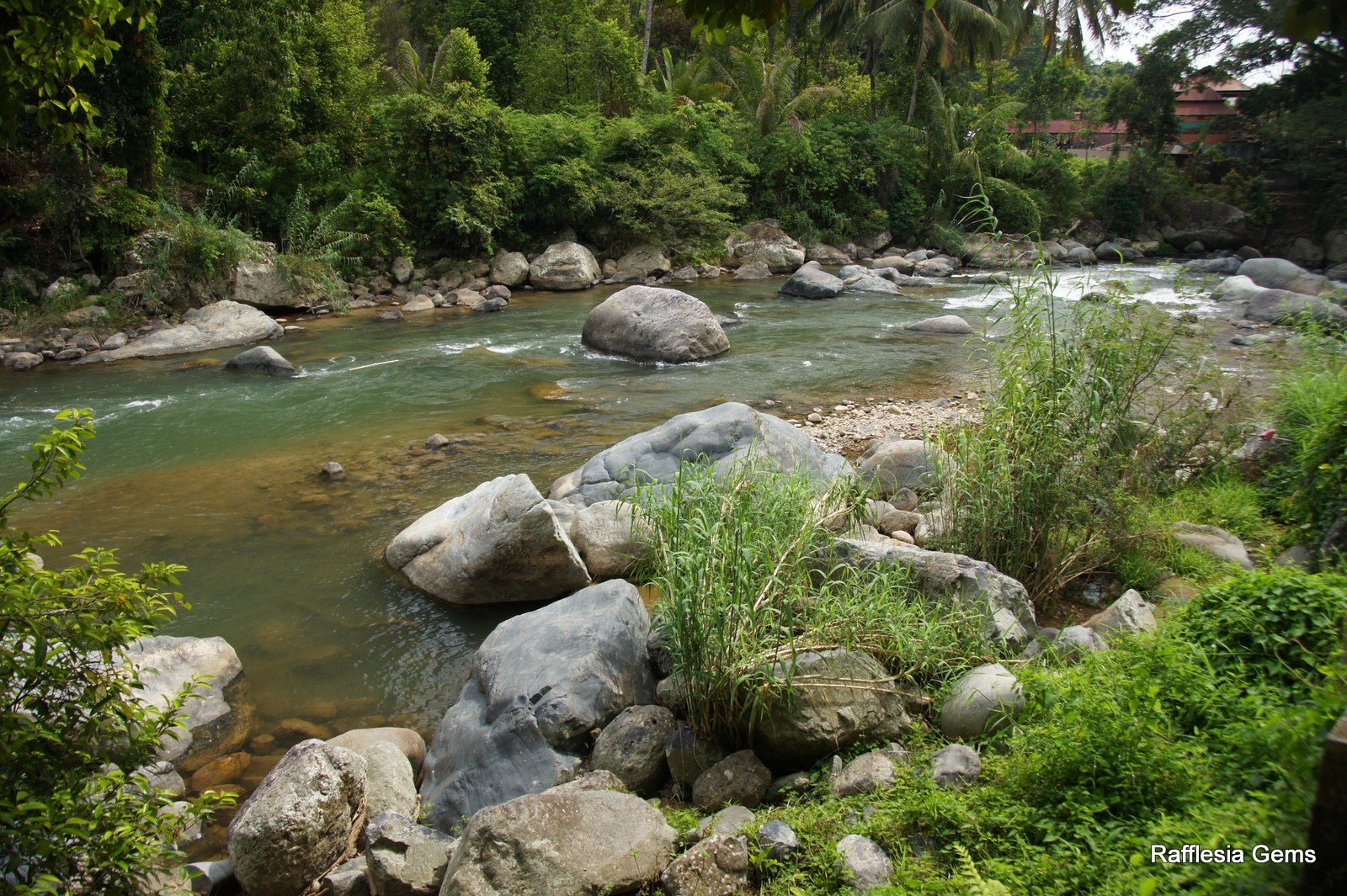 Magical Sumatra and Java: Batu Sungai Dareh (Idocrase) and Filipus Kesuma