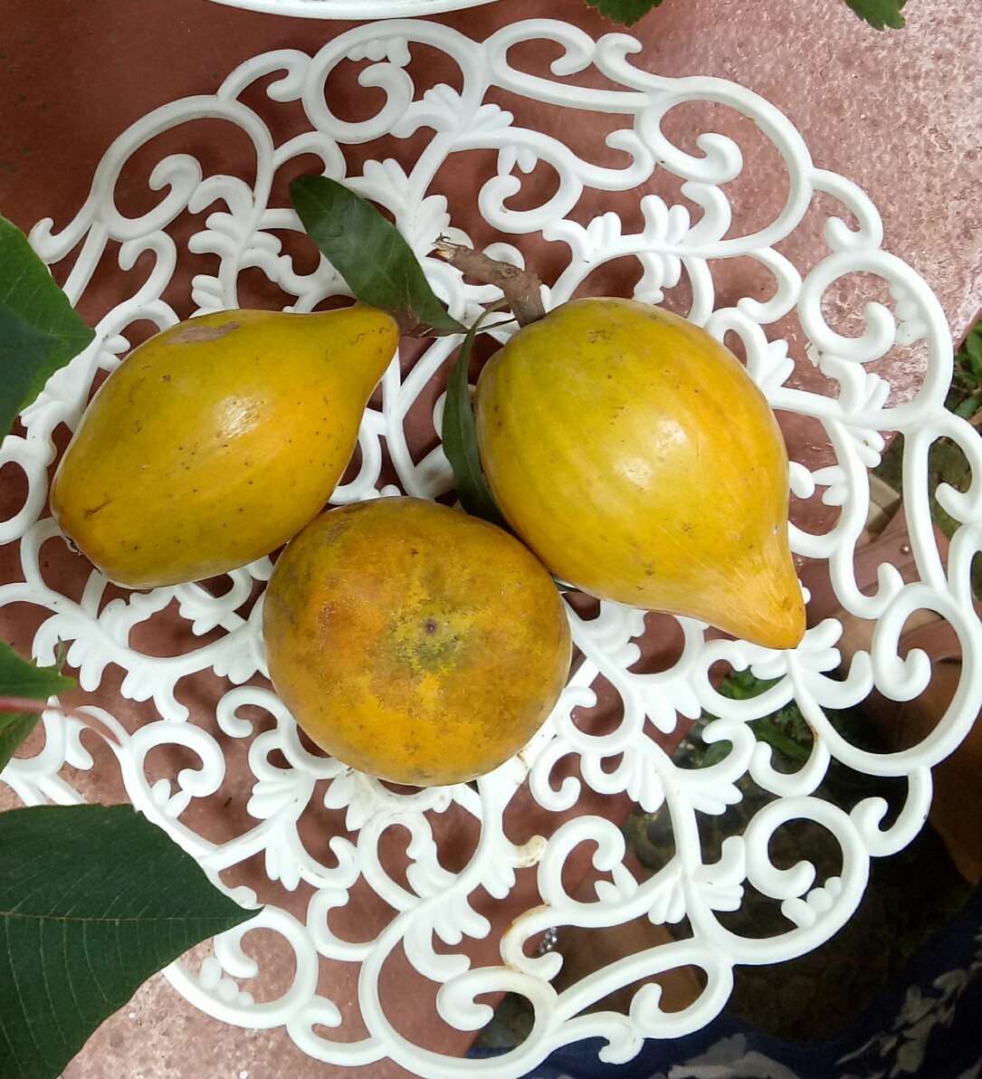 - Dian Restu Agustina's Blog