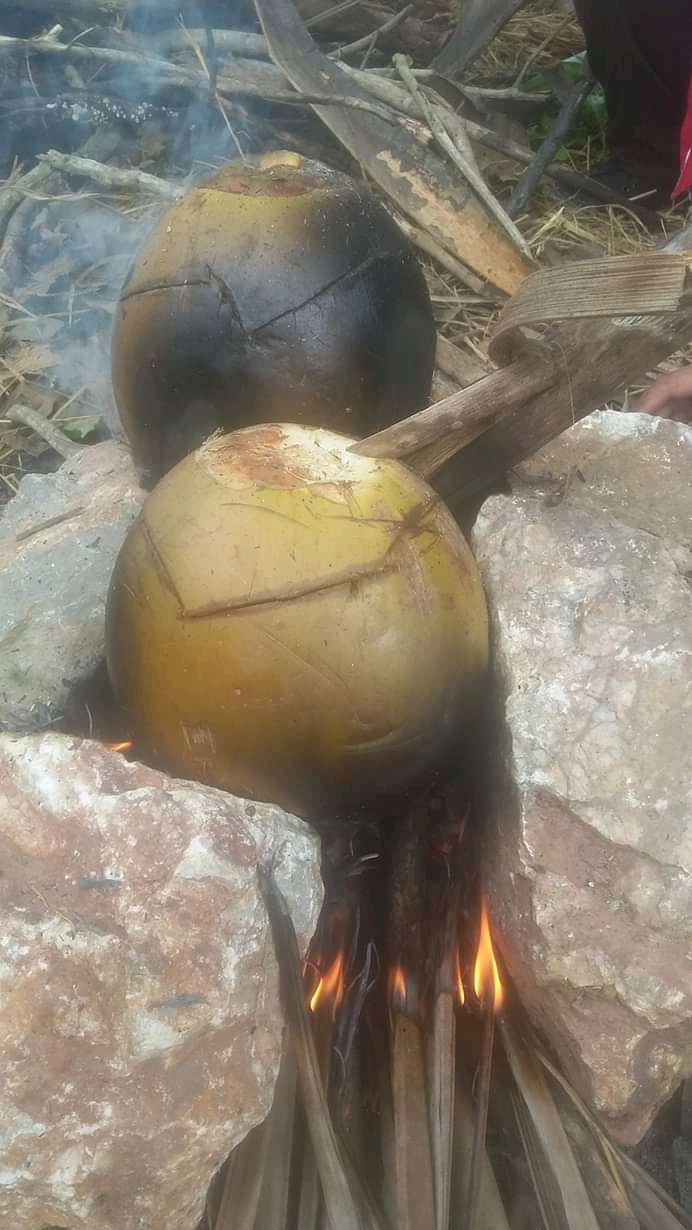 Faisal@fram: MASAK RIMBA KAK FAIZ