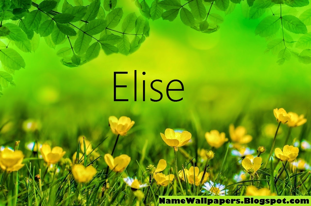 Elise Name Wallpapers Elise ~ Name Wallpaper Urdu Name Meaning Name ...
