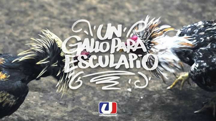 Mario Moscoso - Actor