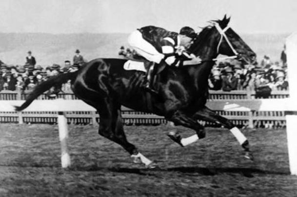 Yardy Yardy Yardy: Phar Lap - Ultimate Racehorse
