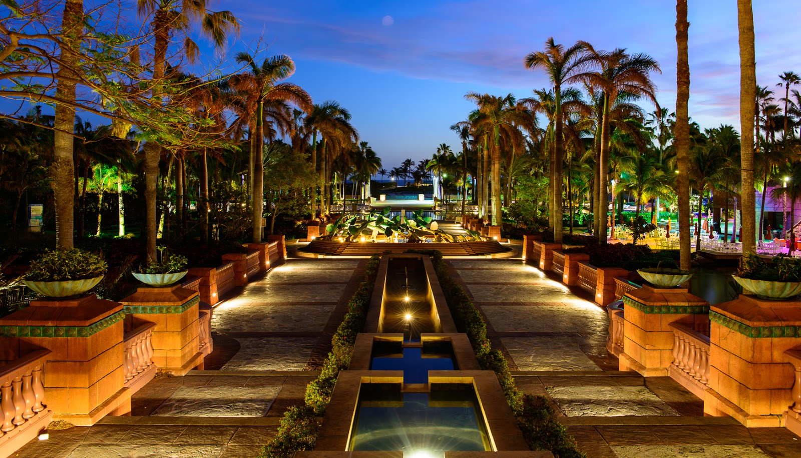 Steve Q Photo: Christmas at Atlantis Paradise Island Bahamas - December ...