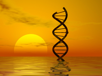 EC Honors Biology: Introduction to DNA