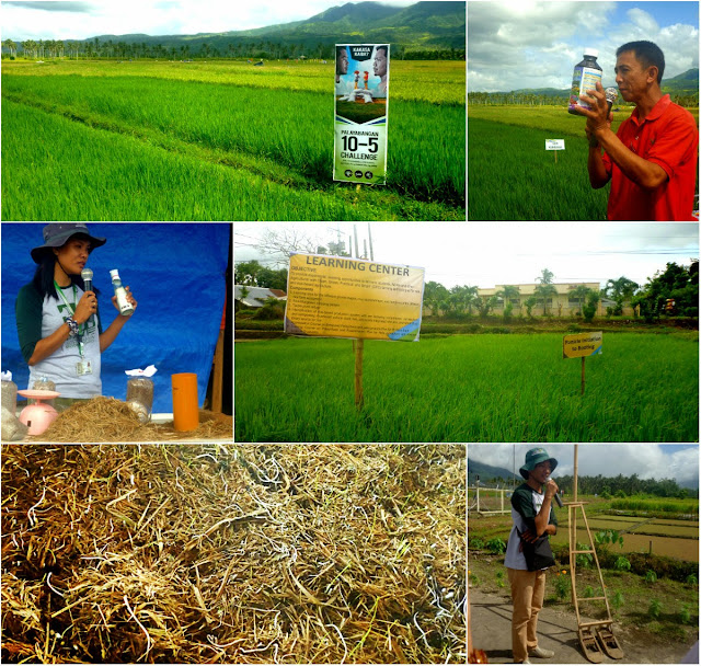 Albay 3rd District: 2014