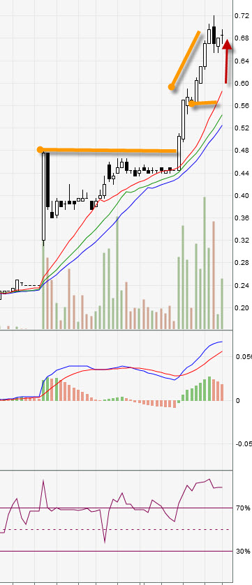 Singapore Shares Information: HTL Intl
