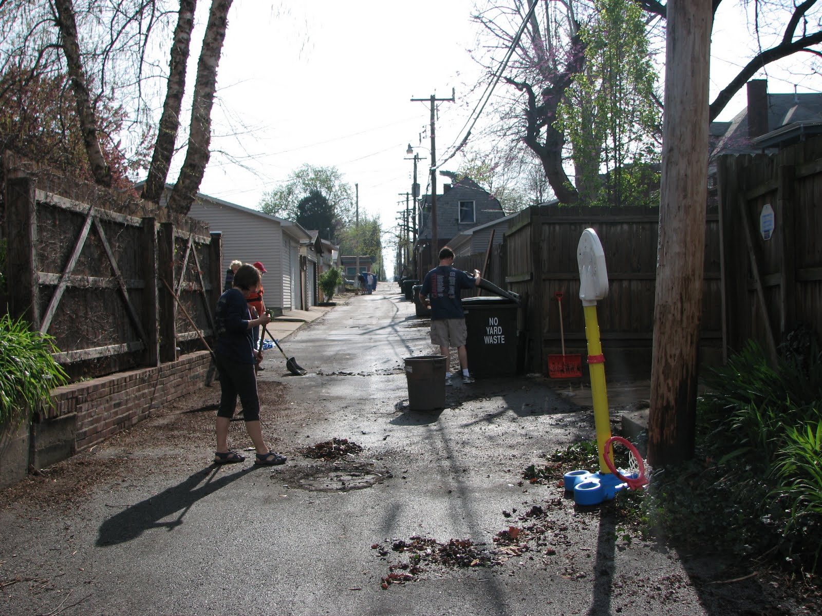 Between The Sycamores: 252/365 Alley Clean Up