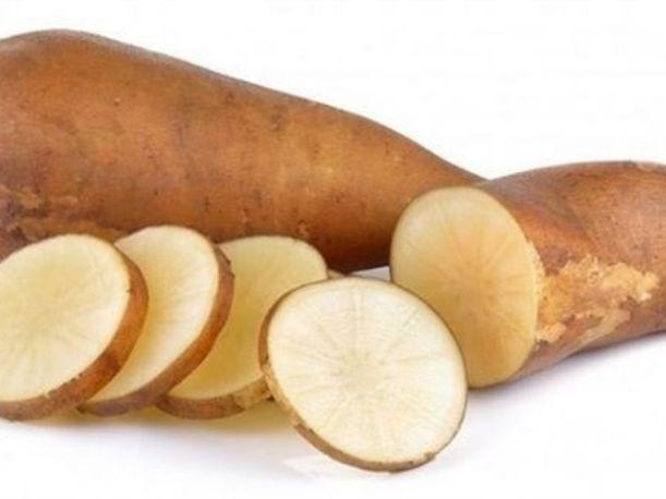 El Yacón ~ Világ Bio