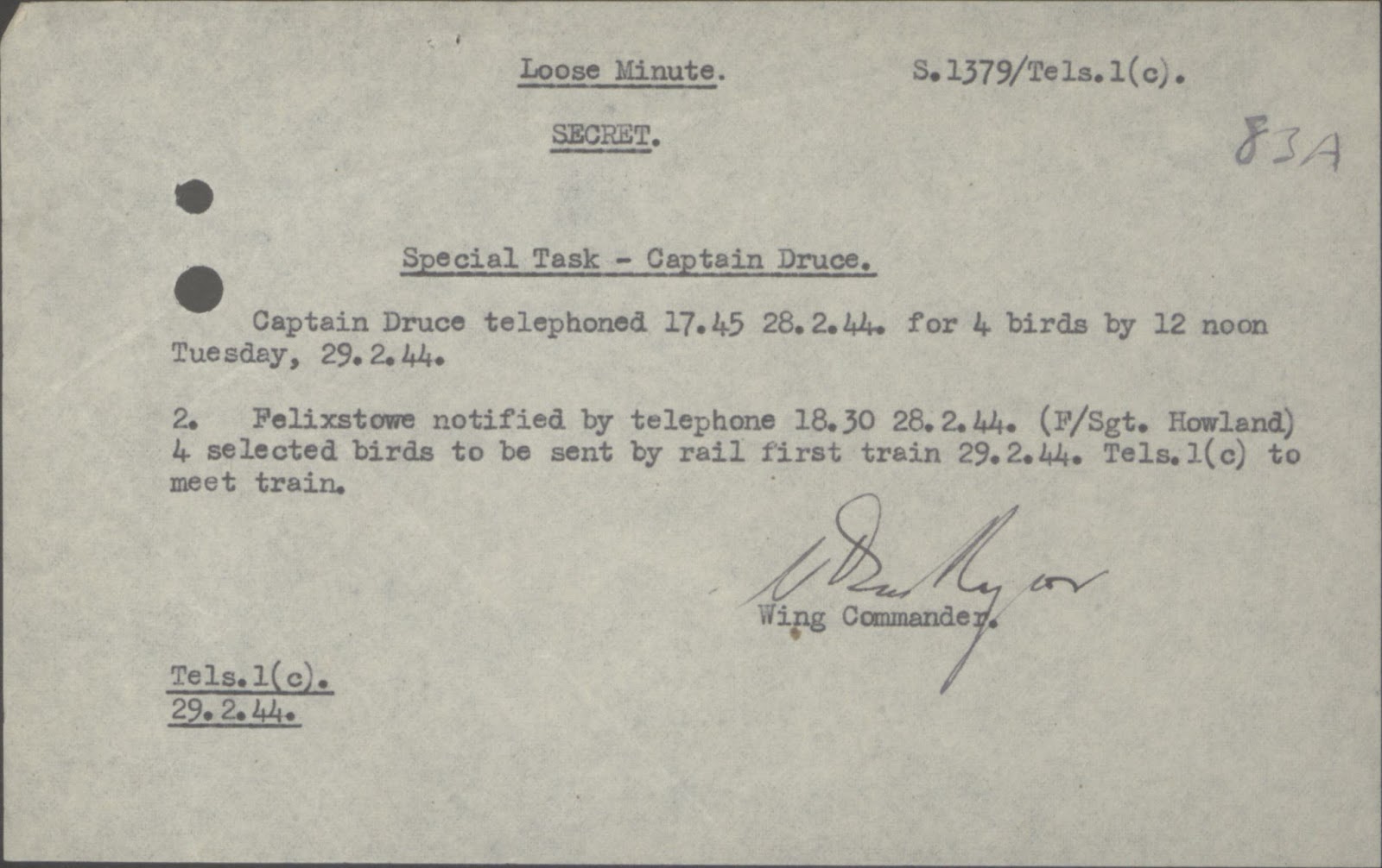 World War 2 Military Intelligence: 1944 pigeon delivers coded message