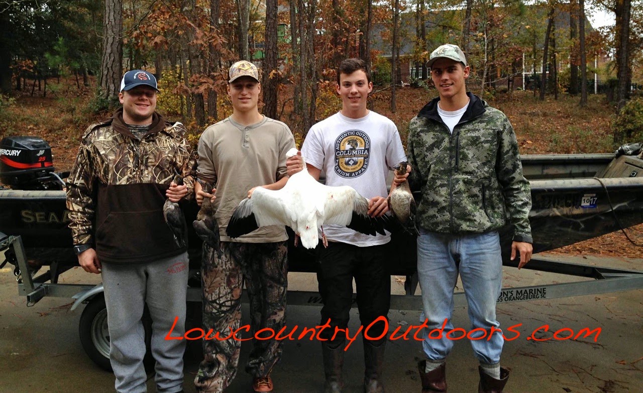 Lowcountry outdoors: Snow Geese Show Up in South Carolina