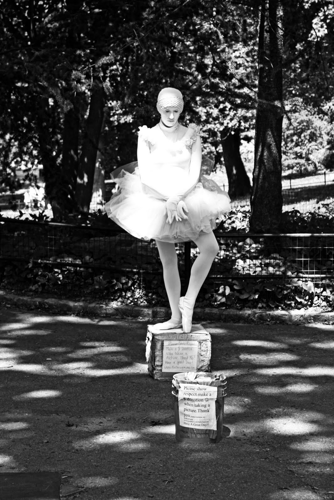 400 Wake-ups: ShanAlly Chronicles 2.0