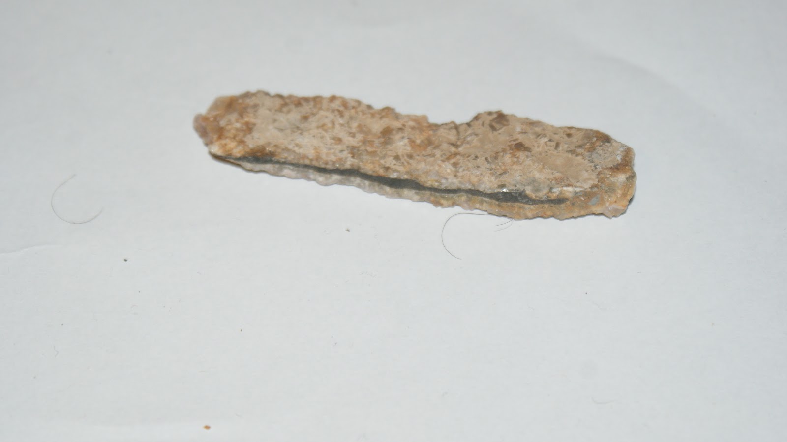 Col·leció de roques: Calcàrea