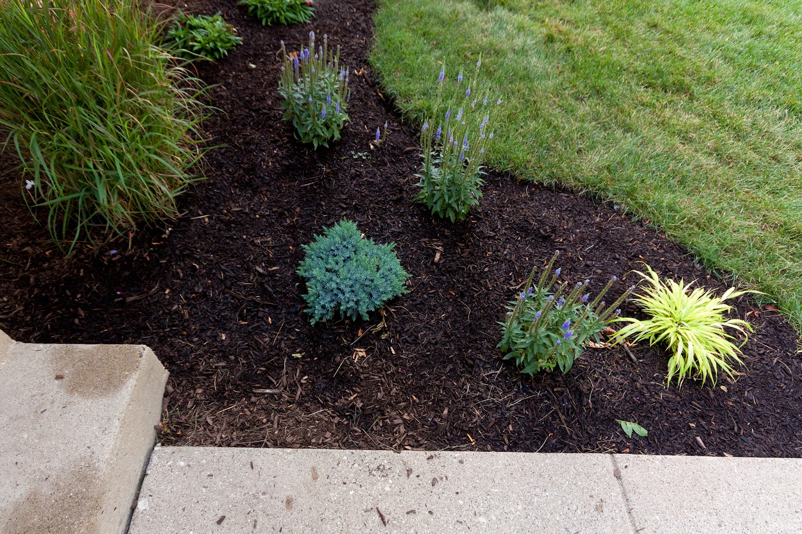 Russet Street Reno: The longest landscaping post ever