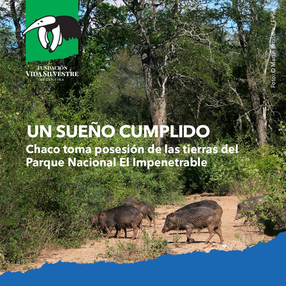 Crónicas de la Tierra sin Mal : Parque Nacional El Impenetrable (Chaco ...