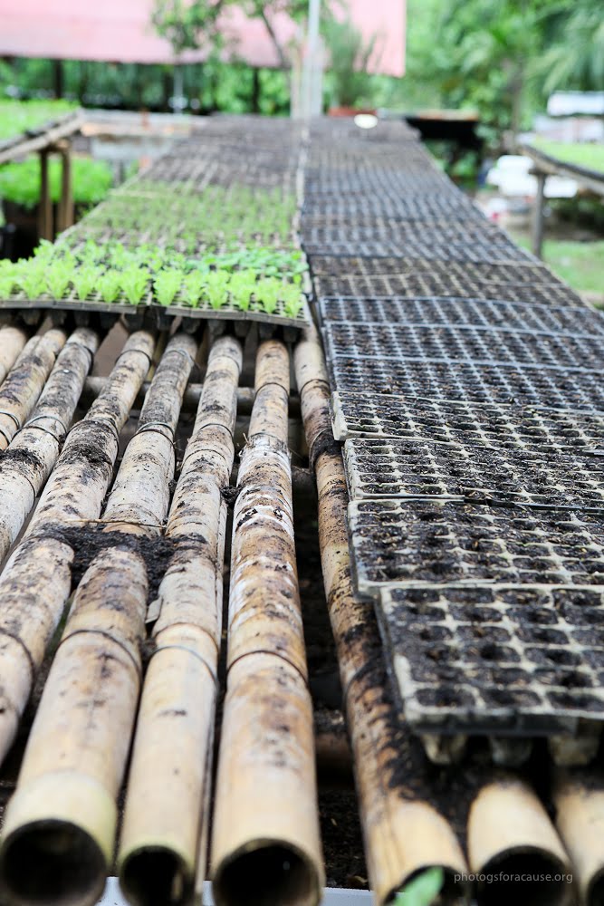 Melendres Farm || Antipolo, Rizal