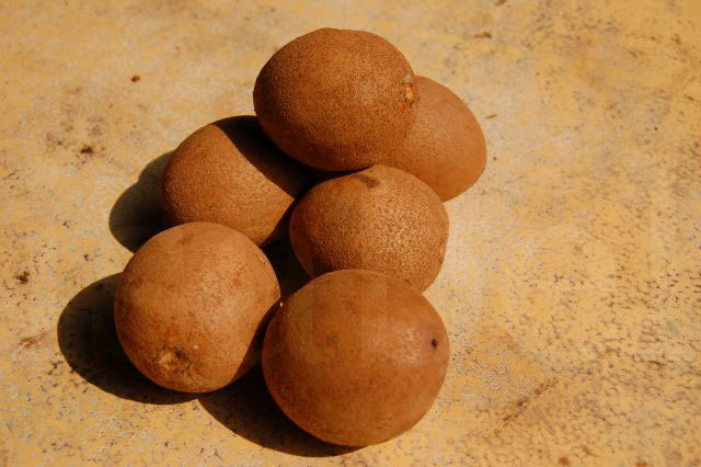 India Outside My Window