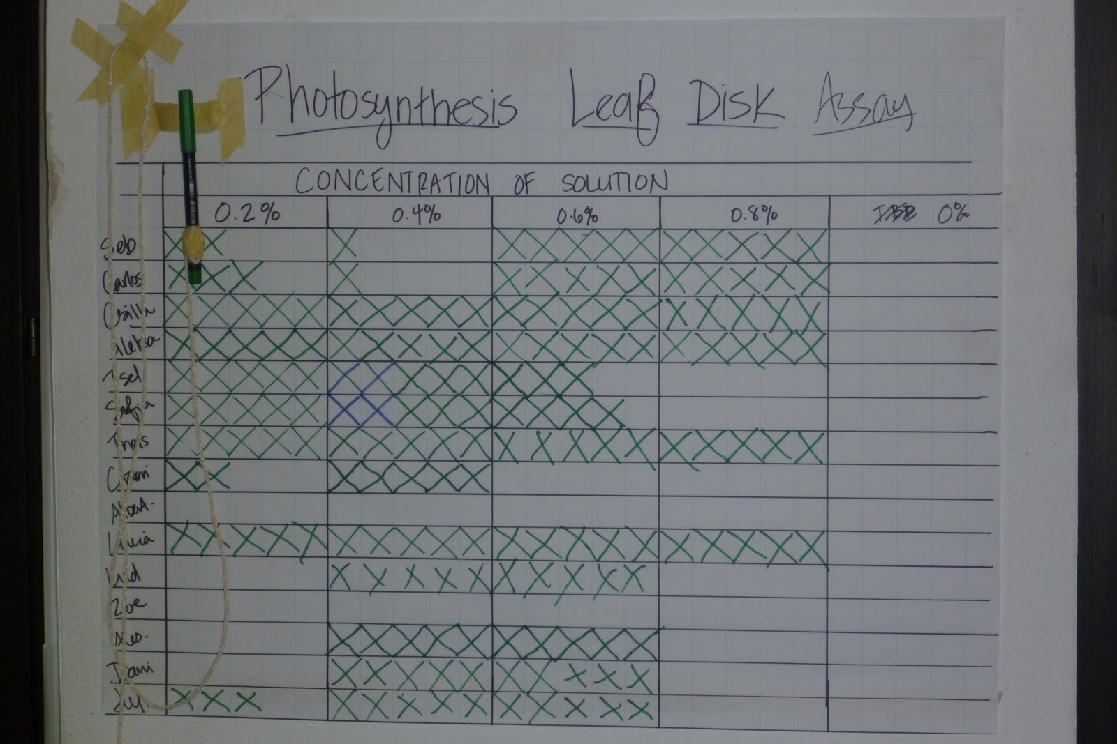 IB Biology @ TASIS: Leaf Disk Assay
