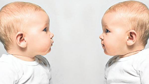 CLONACIÓN: Caracteristicas de la clonación