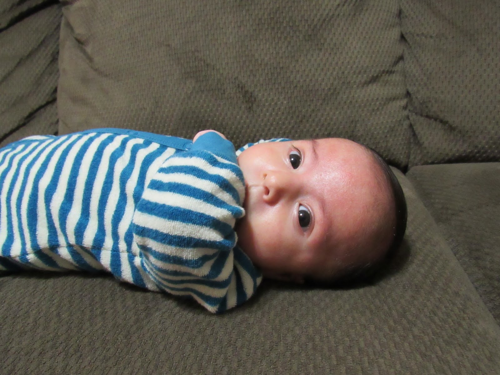 The 6 Month Mark | Writing Mother Fashionista