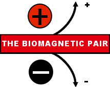Biomagnetism USA™: What is Biomagnetic Pair Therapy / Biomagnetism